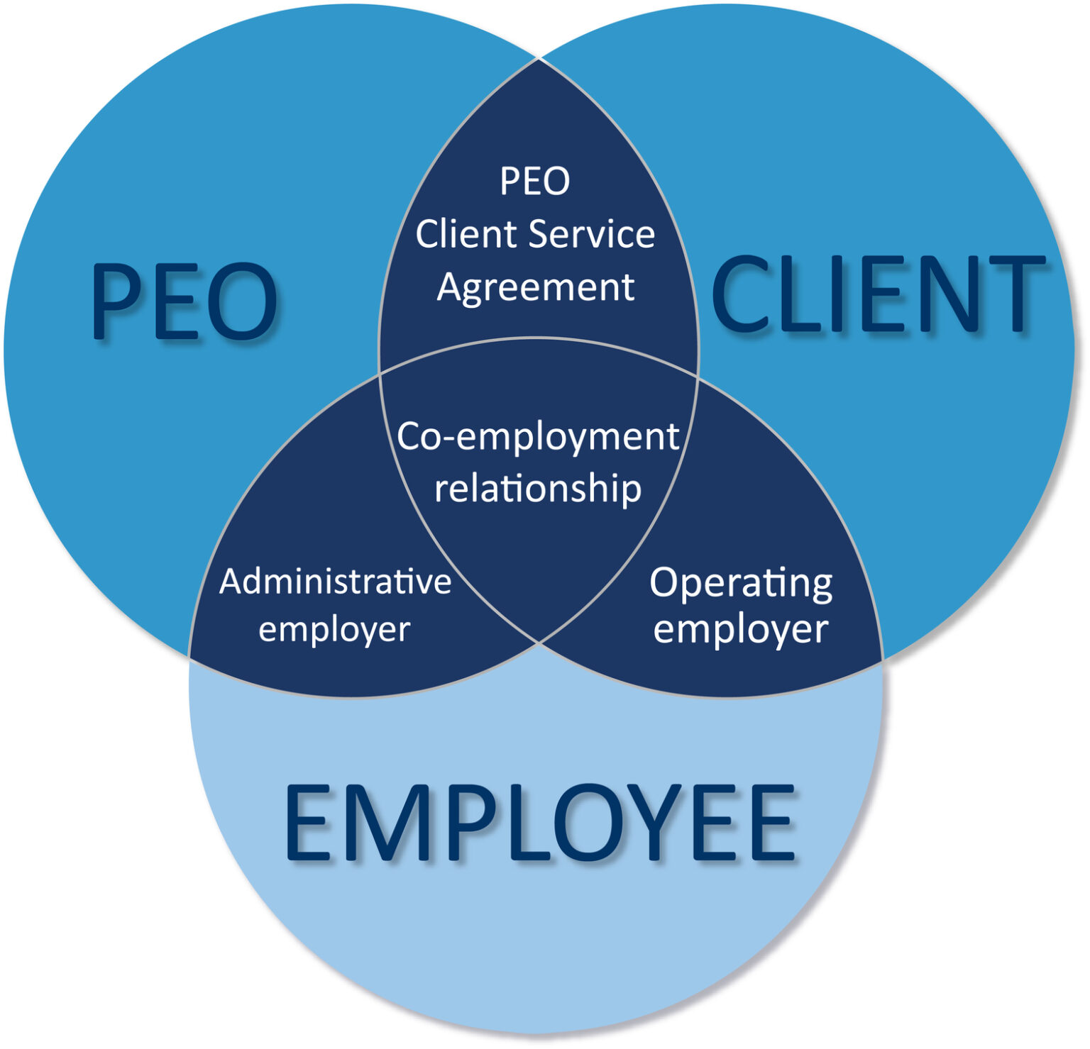 What Is A PEO? TurnKey Office Solutions Has Answers